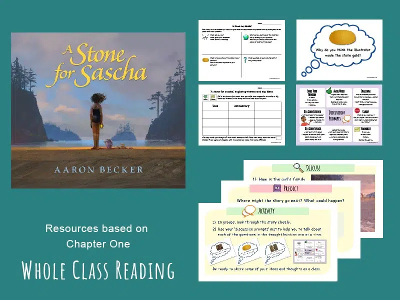 Aaron Becker A Stone for Sascha - my teaching hive