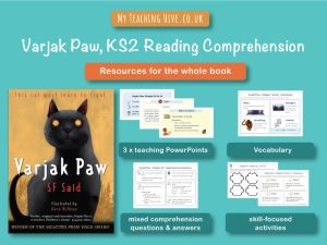 Varjak Paw Comprehension - my teaching hive